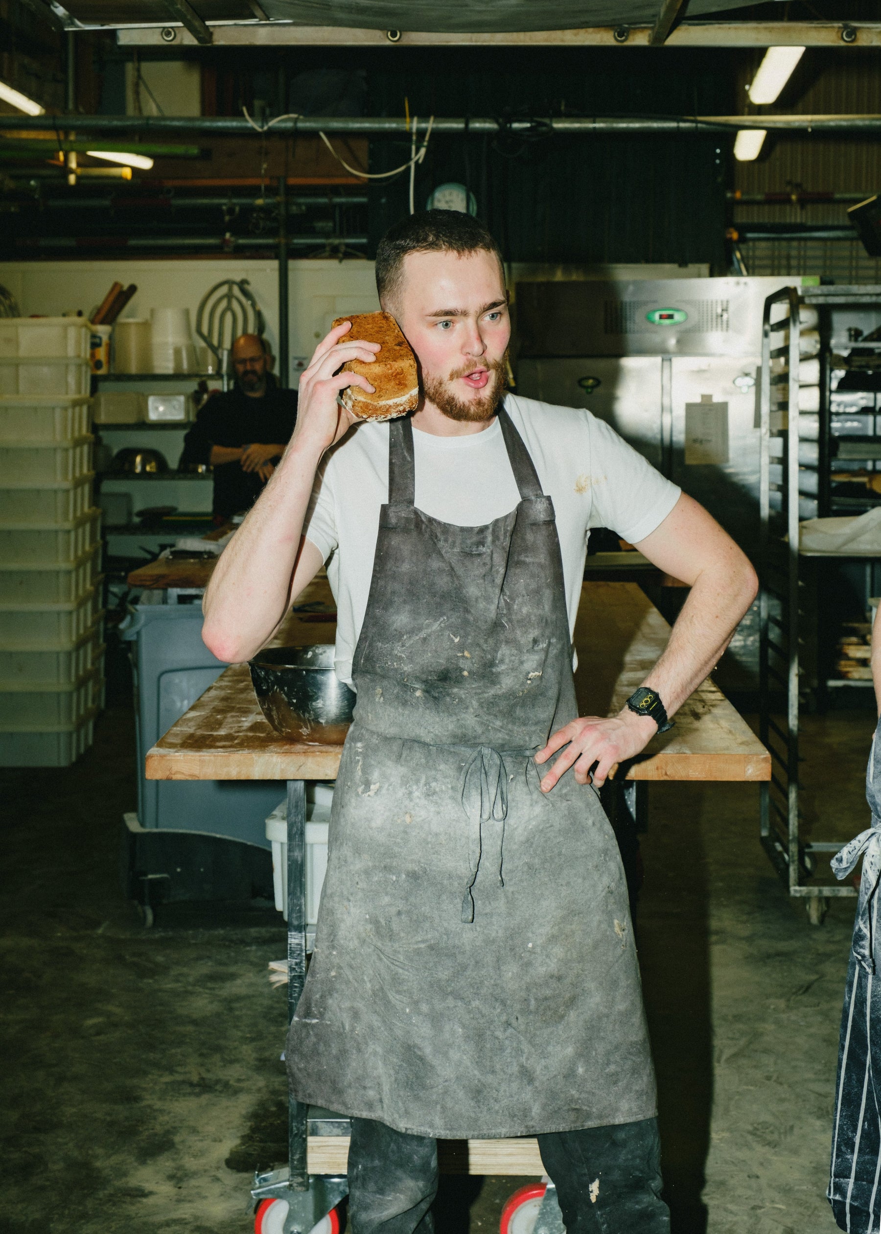 Wholesale Flour For Bakeries & Restaurants - Wildfarmed