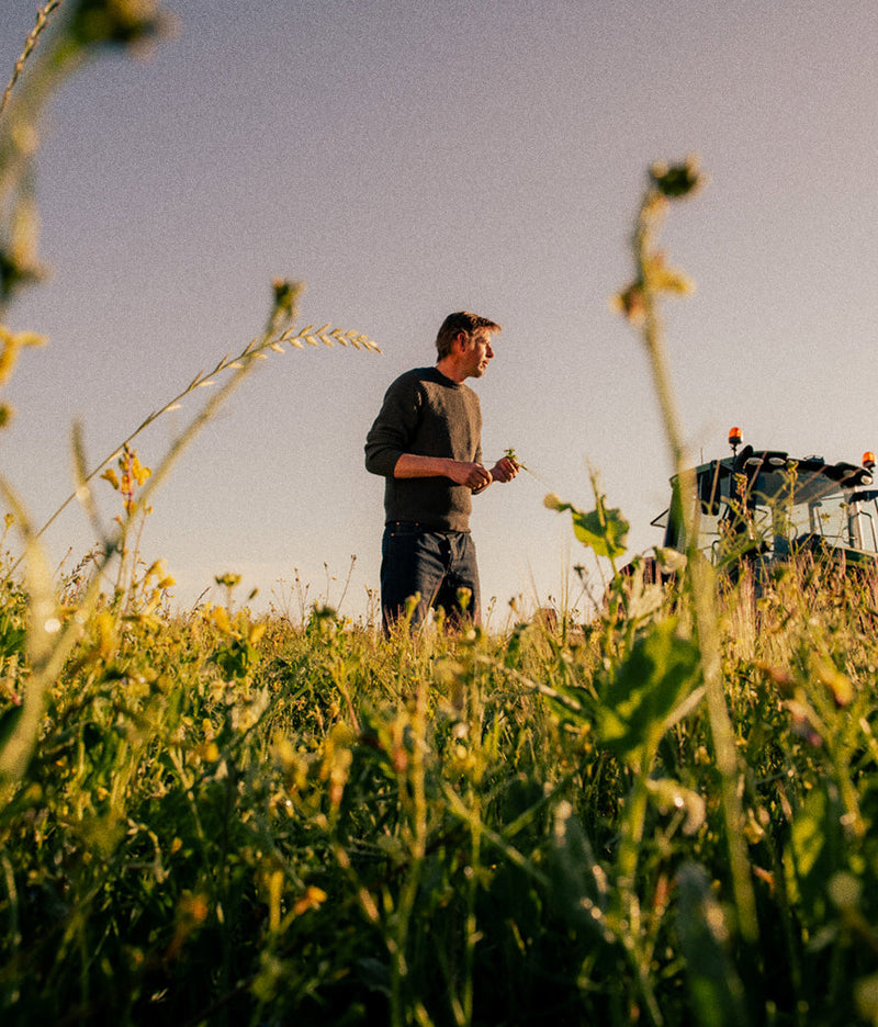 Our Dedicated Growers Throughout England - Wildfarmed