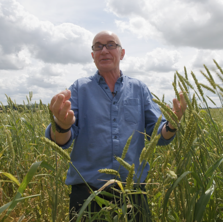 Regenerative Farming With Wildfarmed | Wildfarmed