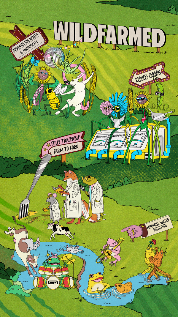 Positive Impacts of Regenerative Farming- Wildfarmed