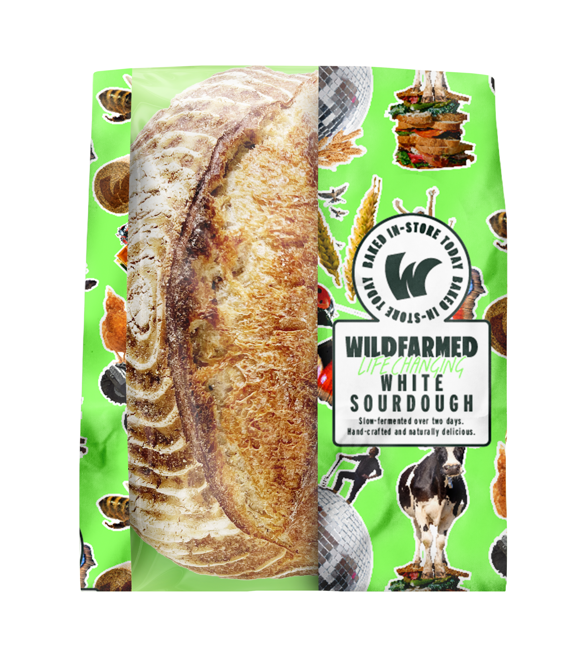 OUR BREAD – Wildfarmed