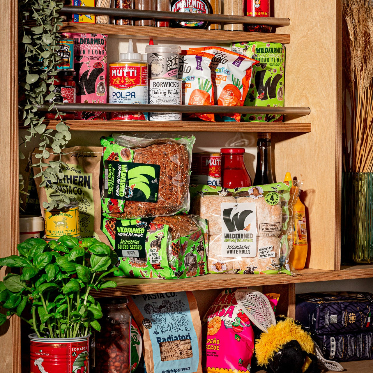 Get To Know Our Regenerative Farming Methods - Wildfarmed