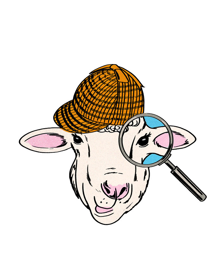 What Is Regenerative Farming - Wildfarmed
