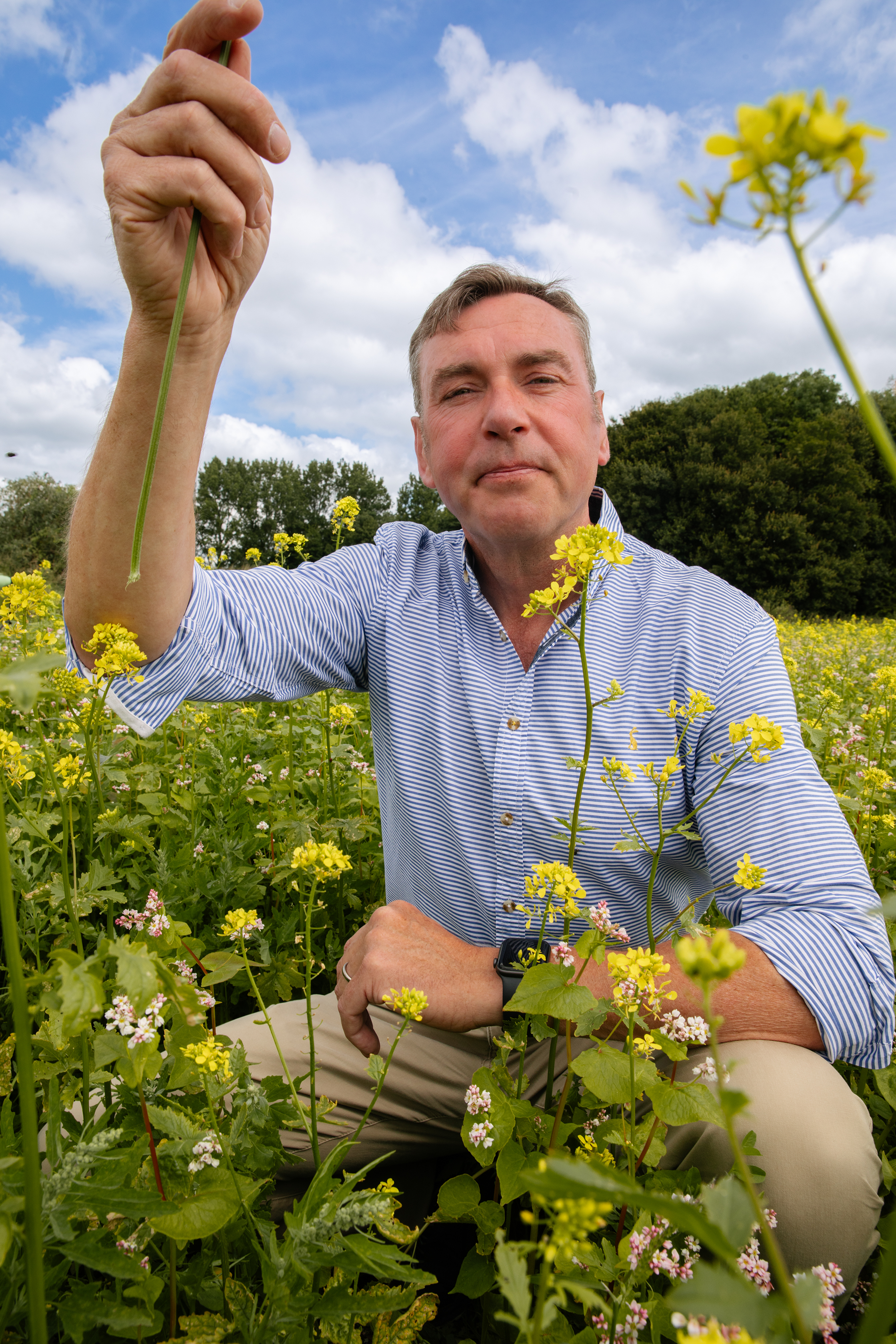 Farming – Wildfarmed