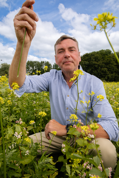 Farming – Wildfarmed